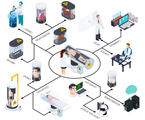 Medical Annotation Services | Annotation Box