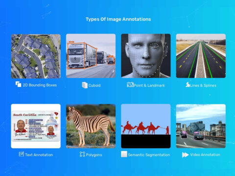 What is an Annotated Image: Definition and Examples