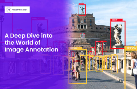 What is an Annotated Image: Definition and Examples
