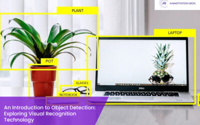 Labeling and Data Annotation Services - AnnotationBox