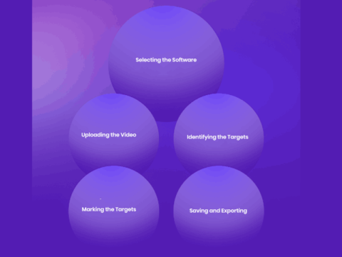 Comprehensive Guides on Video Annotation - Expert Tips & Techniques