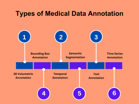 Guide to Medical Data Annotation: 10 Proven Steps